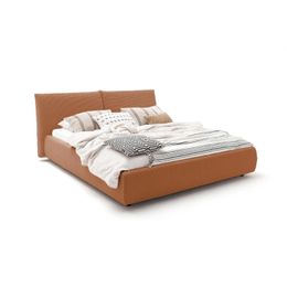 KAWOLA POLSTERBETT HENRY Braun Cord