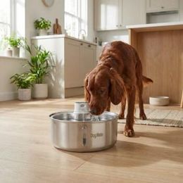 Dog Mate Kabelloser 8 Liter Edelstahl-Trinkbrunnen f&uuml;r Haustiere