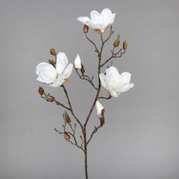 DPI Kunstblume Magnolienzweig