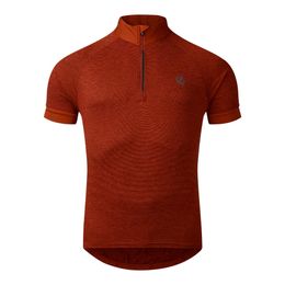 Dare 2b - "Pedal It Out II" Trikot f&uuml;r Herren (Arabische Gew&uuml;rze)