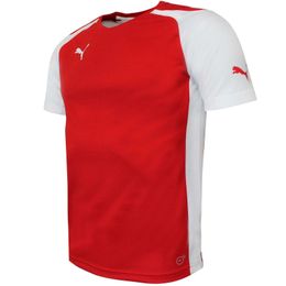 Puma Speed ​​Jersey Training Fitnesssport Sport T -Shirt Rot - Herren