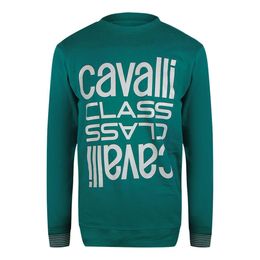 Cavalli Class - Ottanio - Sweatshirt Mit Rundhalsausschnitt Und Kr&auml;ftigem Multi-logo In Gr&uuml;n