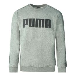 Puma Velvet Taped Logo Grau Sweatshirt