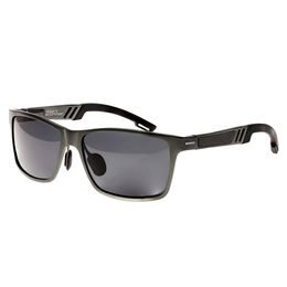 Lunettes de soleil polaris&eacute;es en titane Breed Pyxis