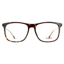Carrera Platz Herren Havanna 1125