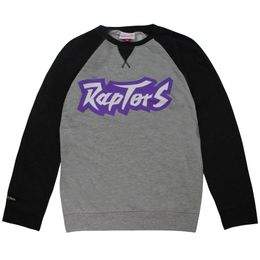 Mitchell & Ness Mitchell & Ness Toronto Raptors NBA Turf Mens Pullover