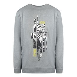 Cavalli Class - Graues Sweatshirt Mit Zersplittertem Tiger-print