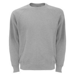 Fruit of the Loom Herren Raglan-&Auml;rmel Belcoro&reg; Sweatshirt (Heather Grey)