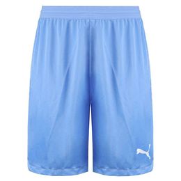 Puma Drycell Teamfinal 21 Stretch Taille Herren Hellblau Shorts 704257 18