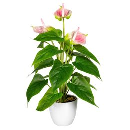 Gasper Kunstpflanze, Rosa, Gr. H/B/T ca. 40/20/20 cm, Kunstpflanzen & Garten, Material: Kunststoff