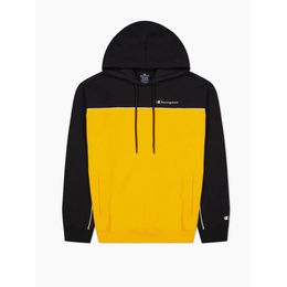 Champion Pullover