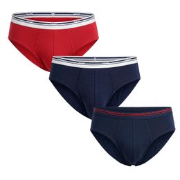 DIM 3er-Pack Herren Baumwollslips Klassische Farben D309BB