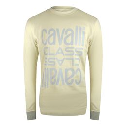 Cavalli Class Sweatshirt Mit Mehreren Logos In Beige Und Sand