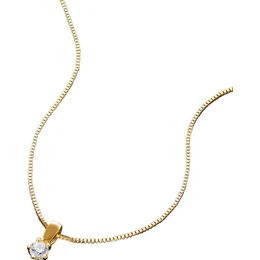 Anh&auml;nger mit Kette