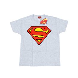 DC COMICS - T-Shirt f&uuml;r Herren (Grau meliert)