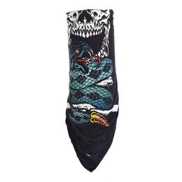 Buff Polar Bandana 103900