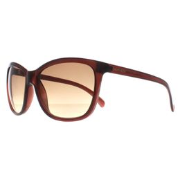 Calvin Klein Cat Eye Damen Milchig Braun Braun Farbverlauf CK19565S