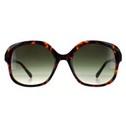 Ted Baker Square Damen Schildpatt Grau Gradient TB1685 Eloise