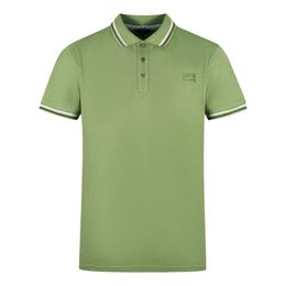 Cavalli Class Zwillingsspitzkragen Gr&uuml;nes Poloshirt