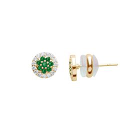 U.S. Polo Assn. US Polo Assn Jewellery Celine Gelbgold-Ohrringe