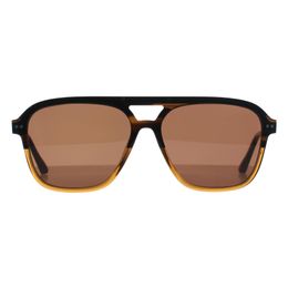Ted Baker Aviator Herren Braun Horn Gradient Braun TB8259