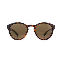 Lunettes De Soleil Polaroid 6042/S 086 SP Sombre Havana Bronze Polaris&eacute;