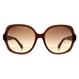 Calvin Klein Cat Eye Damen Kristall Braun Braun Farbverlauf CK19538S