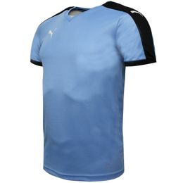 Puma Pitch kurz&auml;rmeliges Hemd Training Fitnessstudio T -Shirt Blue - Herren