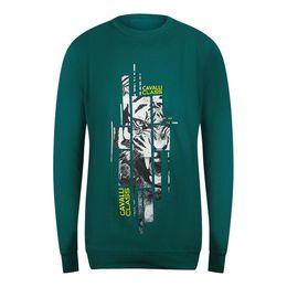 Cavalli Class - Gr&uuml;nes Ottanio-sweatshirt Mit Zersplittertem Tiger-print