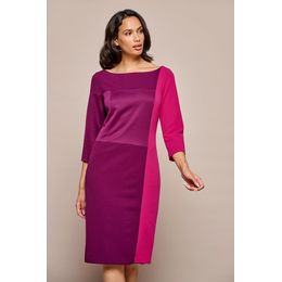 Canehill Kleid Dark Berry