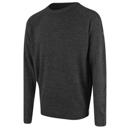 Insel Gr&uuml;ne Raglan Herren dunkler Holzkohle -Golfpullover