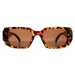 Atum Nyx C2 gl&Atilde;&curren;nzend havannabraun Sonnenbrille