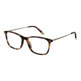 O`Neill O'Neill Brillenfassung ONB-4024 102 52