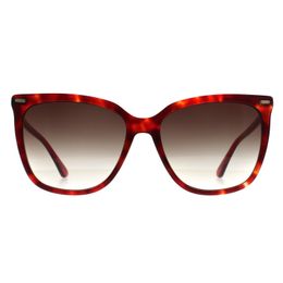 Calvin Klein Butterfly Damen Burgund Havanna Braun Farbverlauf CK22532S