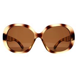 Montana MP63 Eine gl&Atilde;&curren;nzende, weiche demi braune polarisierte Sonnenbrille