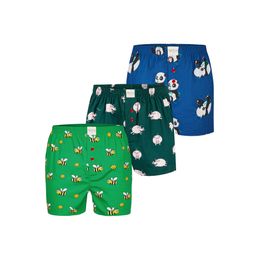 Boxer FUN Motives 3-Pack