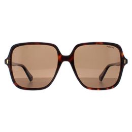 Polaroid Square Damen Havanna Bronze Polarisiert PLD 6219/S