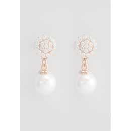 U.S. Polo Assn. US Polo Assn Jewellery Soleil Ohrringe in Ros&eacute;gold