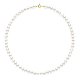 Halskette Gold &ndash; Reihe aus echten S&uuml;&szlig;wasserperlen, halbrund, 6&ndash;7 mm