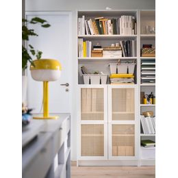 IKEA BILLY / H&Ouml;GADAL B&uuml;cherregal mit T&uuml;ren