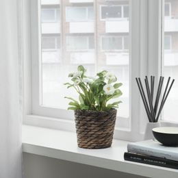 IKEA DRUVFL&Auml;DER &Uuml;bertopf