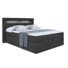 BOXSPRINGBETT NOEL GOLD KING - 200x200 - H3/H4 - Schwarz