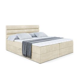 BOXBETT mit Matratze H4 und Lattenrost - CELESTIA - 140x200 cm - H4 - Beige