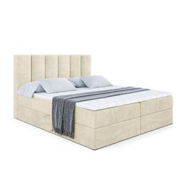 BOXBETT mit Matratze H4 und Lattenrost - BOXI1 - 140x200 cm - H4 - Beige