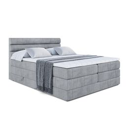 BOXSPRINGBETT CELESTIA KING - 140x200 - H3/H4 - Grau