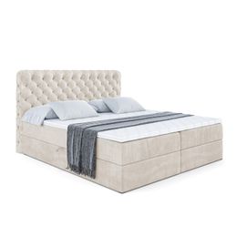 BOXBETT mit Matratze H3 und Lattenrost - BOXI8 - 140x200 cm Ecru