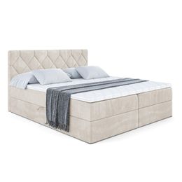 BOXBETT mit Matratze H4 und Lattenrost - CATOR - 140 x 200 - Ecru
