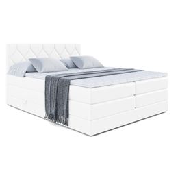 BOXSPRINGBETT CATOR KING - 200x200 - H3/H4 - Wei&szlig; Hochglanz