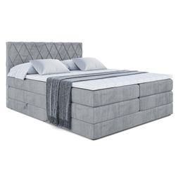 BOXSPRINGBETT LEPARO KING - 160 x 200 - H3/H4 - Grau
