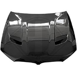 DIEDERICHS Motorhaube 1226500 vorne